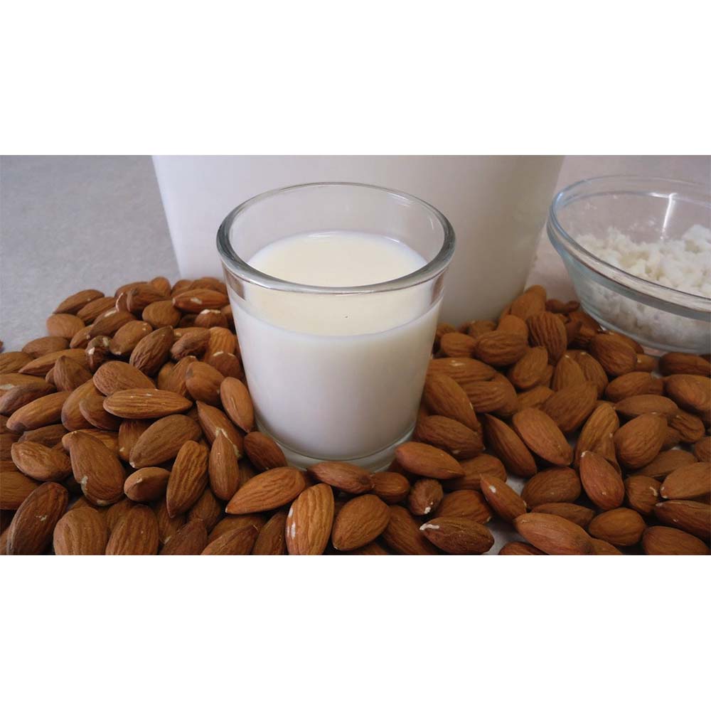 Almond milk, from Tarragona, 1 litre - Spanish Club Greece